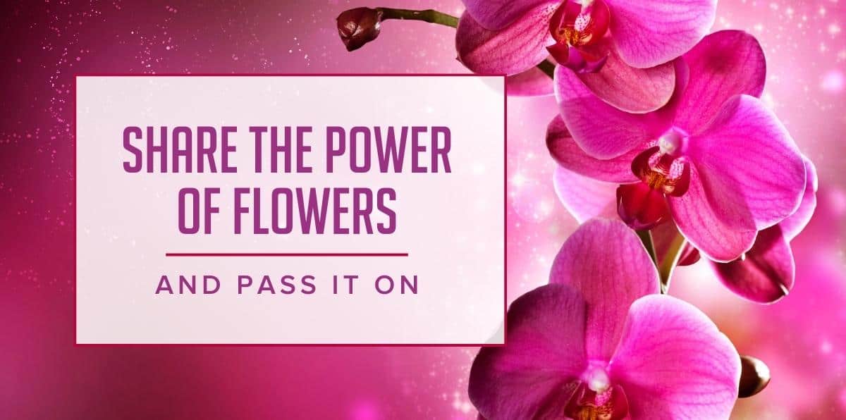 Tips for Surprising Your Best Friend with a Blooming "Just Because ...